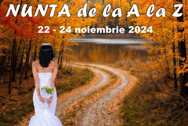 CCIMM | Camera de Comert si Industrie Maramures